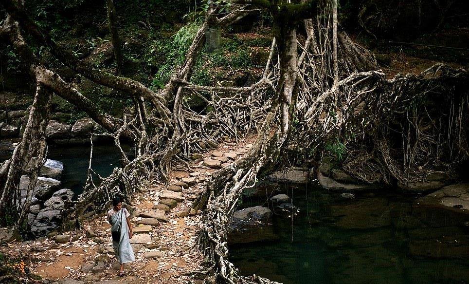 Remember: Being Human? – human meets nature